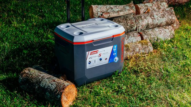 Best Passive Cool Box UK – the Top 5 Insulated Coolers for Camping