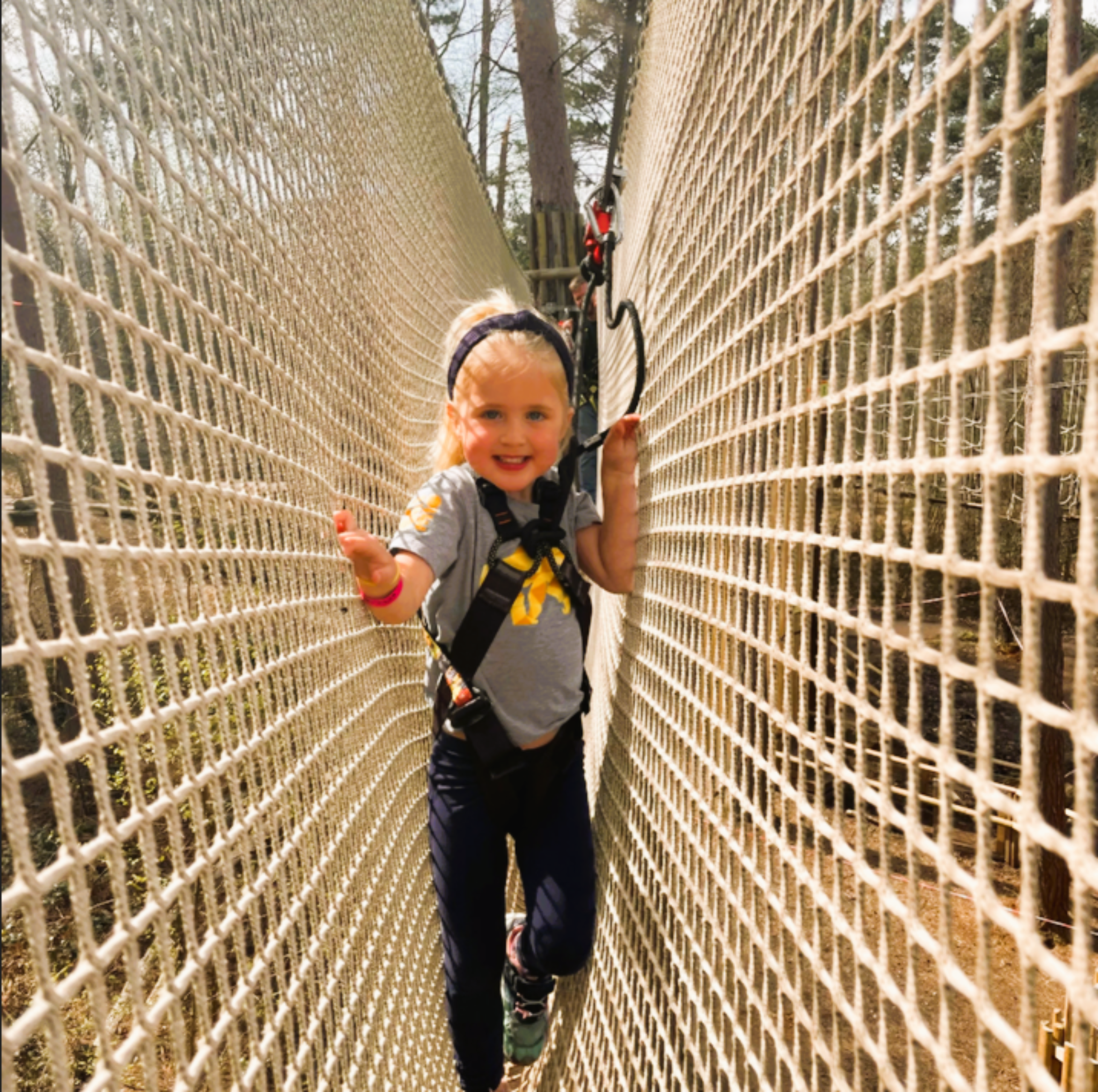 Compare 5 Go Ape Treetop Adventures & Challenges - Camping Secrets ...
